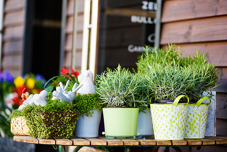 Aprenda a fazer vasos ecológicos - Dinâmica Ambiental